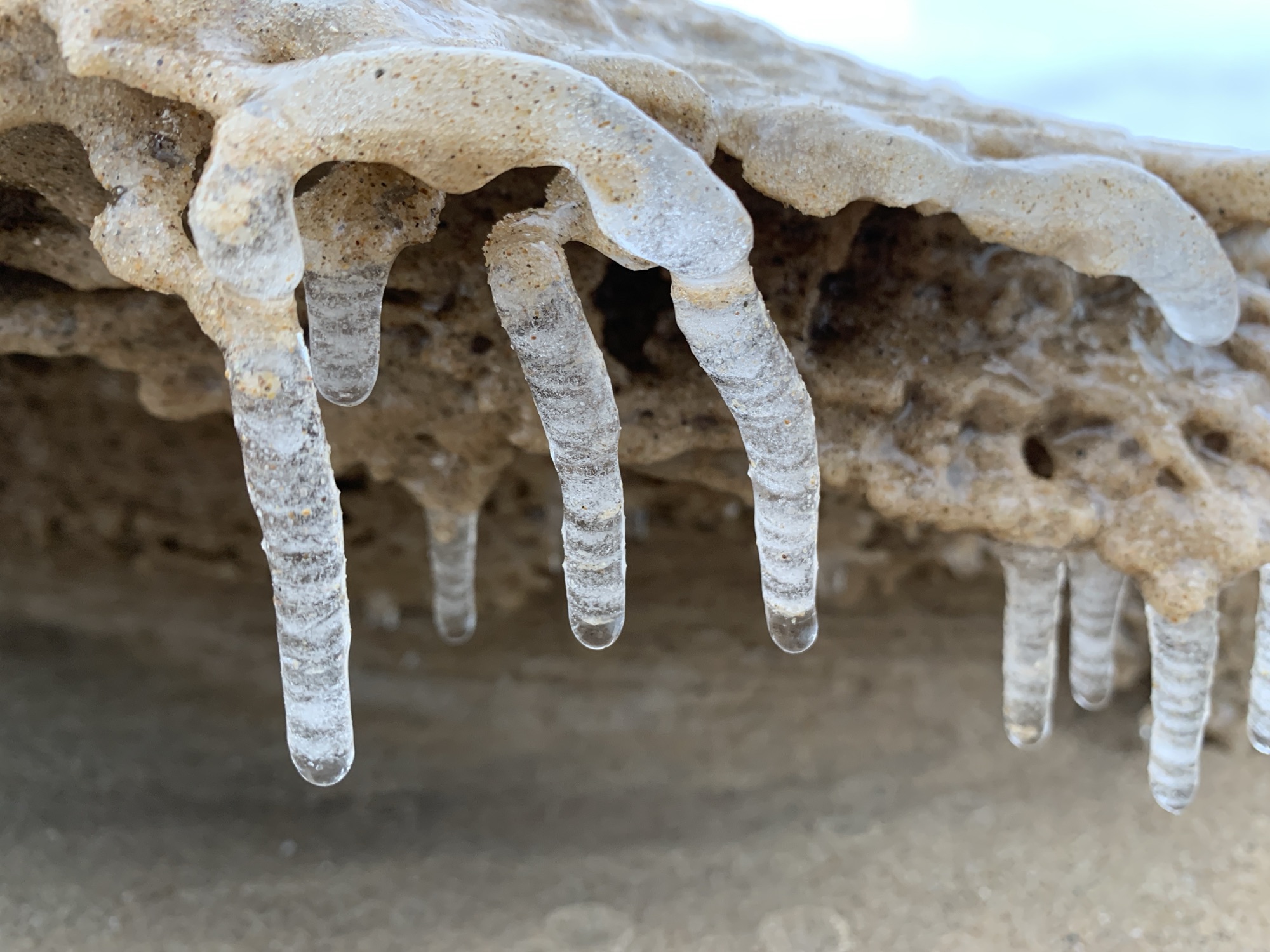 Micro Cave – Michael Scott Gayle